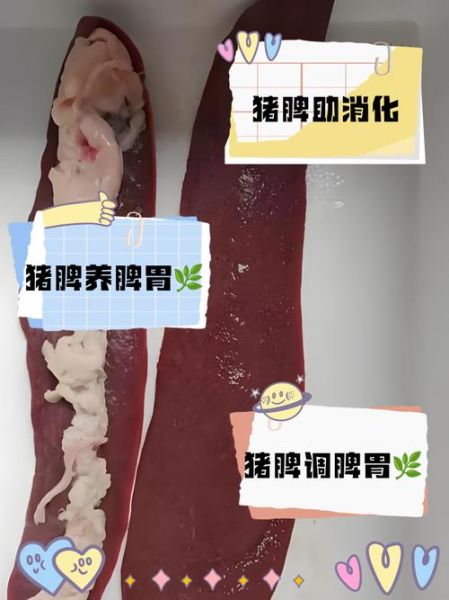 猪胰的功效与作用_猪胰怎么吃最健康-第1张图片-山城妙识