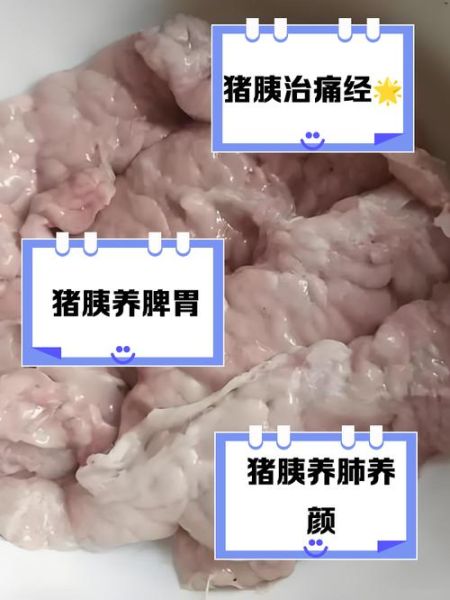 猪胰的功效与作用_猪胰怎么吃最健康-第2张图片-山城妙识
