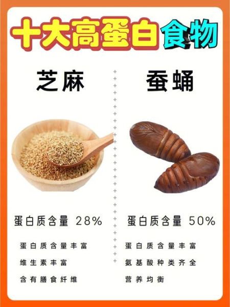 高蛋白食物有哪些_蛋白质摄入不足怎么办-第1张图片-山城妙识 高蛋白食物有哪些_蛋白质摄入不足怎么办-第1张图片-山城妙识
