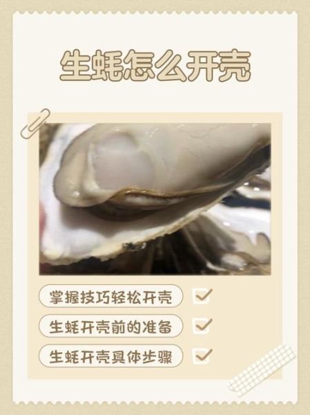 生蚝怎么开壳_生蚝开壳技巧视频教程-第1张图片-山城妙识