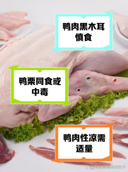 鸭肉不能和什么一起吃_相克食物有哪些-第1张图片-山城妙识 鸭肉不能和什么一起吃_相克食物有哪些-第1张图片-山城妙识