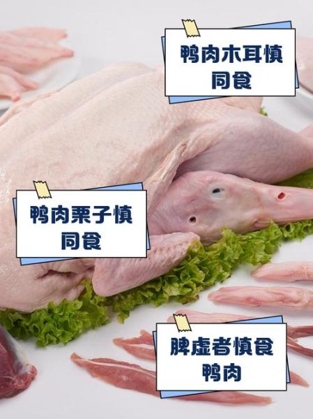 鸭肉不能和什么一起吃_相克食物有哪些-第2张图片-山城妙识 鸭肉不能和什么一起吃_相克食物有哪些-第2张图片-山城妙识