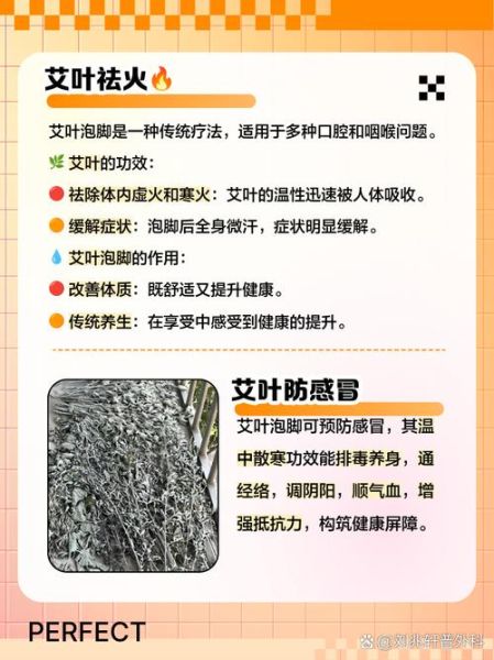 艾叶泡脚有什么好处_艾叶的功效与作用点-第2张图片-山城妙识 艾叶泡脚有什么好处_艾叶的功效与作用点-第2张图片-山城妙识