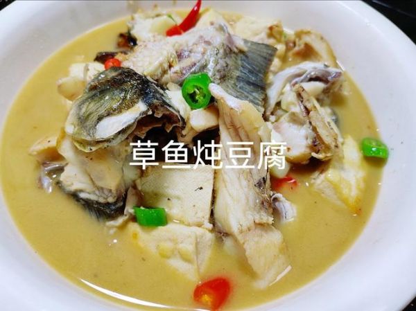 家常炖草鱼豆腐怎么做_草鱼炖豆腐的家常做法-第1张图片-山城妙识