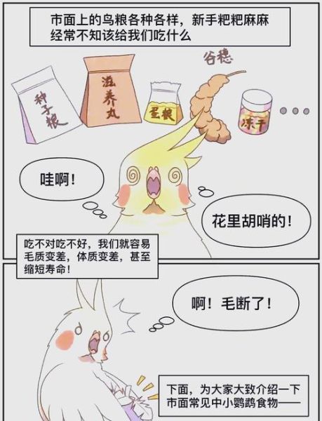 小鸡怎么养_小鸡不吃食怎么办-第2张图片-山城妙识