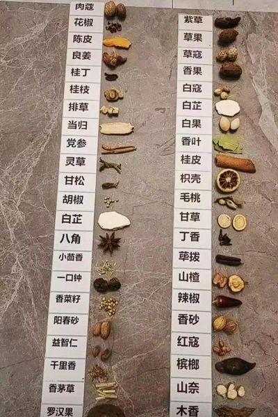 煮狗肉用什么香料_狗肉香料配方比例-第3张图片-山城妙识