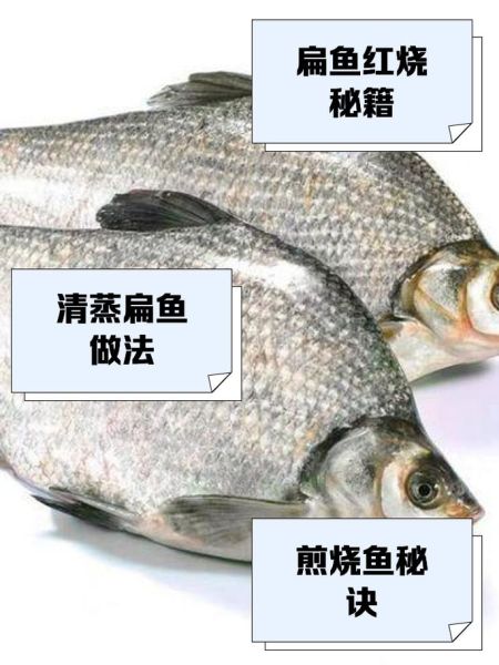 扁鱼怎么做好吃_扁鱼的家常做法-第2张图片-山城妙识