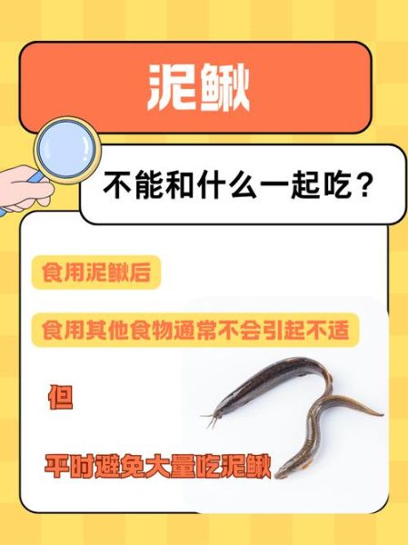 吃泥鳅的禁忌_泥鳅不能和什么一起吃-第2张图片-山城妙识 吃泥鳅的禁忌_泥鳅不能和什么一起吃-第2张图片-山城妙识