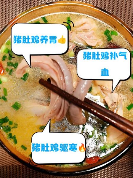 猪肚煲鸡的功效与作用_适合什么人吃-第3张图片-山城妙识