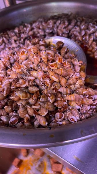 海螺丝有毒吗_海螺丝中毒症状-第1张图片-山城妙识