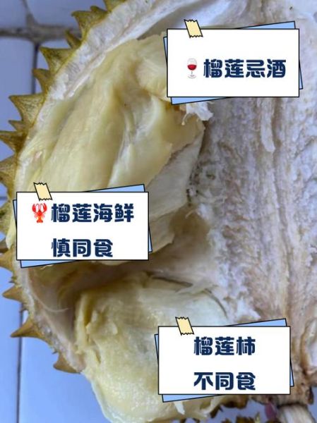 吃榴莲和什么相克中毒_榴莲不能和什么一起吃-第2张图片-山城妙识