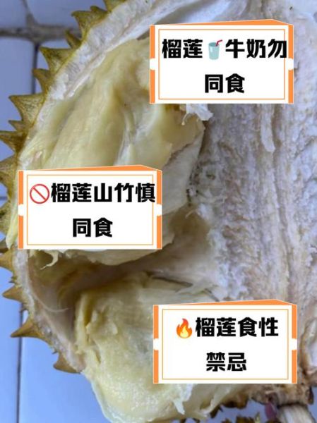 吃榴莲和什么相克中毒_榴莲不能和什么一起吃-第3张图片-山城妙识