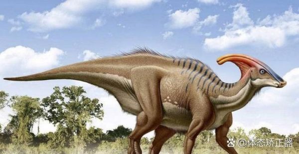 美国发现活恐龙是真的吗_活恐龙长什么样-第3张图片-山城妙识 美国发现活恐龙是真的吗_活恐龙长什么样-第3张图片-山城妙识