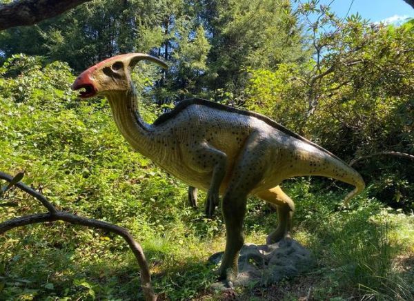 美国发现活恐龙是真的吗_活恐龙长什么样-第2张图片-山城妙识 美国发现活恐龙是真的吗_活恐龙长什么样-第2张图片-山城妙识