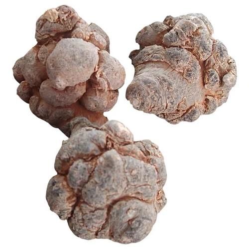 田七多少钱一斤_田七价格受哪些因素影响-第2张图片-山城妙识 田七多少钱一斤_田七价格受哪些因素影响-第2张图片-山城妙识