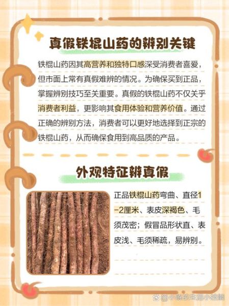 山药长什么样_山药图片怎么分辨真假-第1张图片-山城妙识