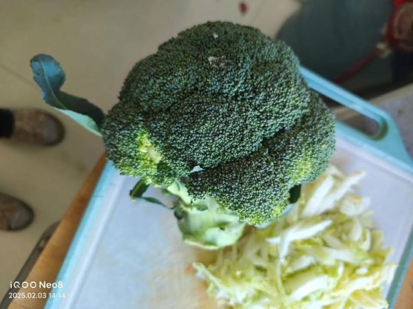 自制狗粮的做法大全_狗狗能吃哪些食材-第3张图片-山城妙识