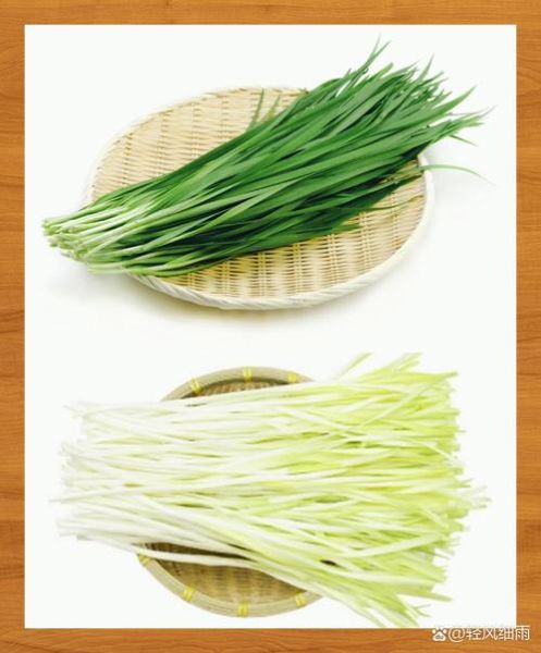 韭菜和韭黄哪个壮阳_男人吃韭菜还是韭黄-第2张图片-山城妙识 韭菜和韭黄哪个壮阳_男人吃韭菜还是韭黄-第2张图片-山城妙识