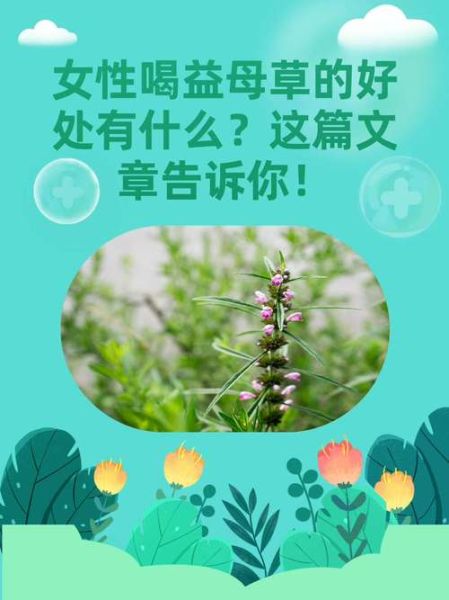 益母草的功效与作用有哪些_益母草适合什么人吃-第3张图片-山城妙识 益母草的功效与作用有哪些_益母草适合什么人吃-第3张图片-山城妙识