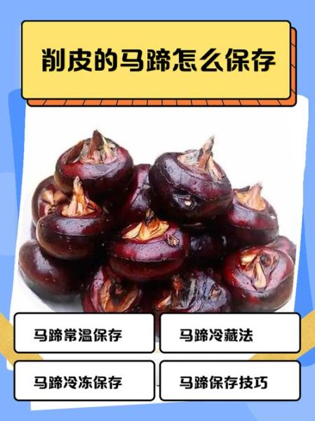 新鲜马蹄怎么吃_马蹄去皮技巧-第2张图片-山城妙识