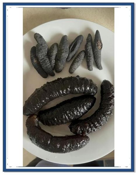 无刺海参和有刺海参哪个好_区别与选购指南-第1张图片-山城妙识