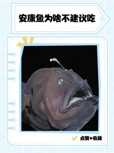 中国人为什么不吃安康鱼_安康鱼有毒吗-第2张图片-山城妙识