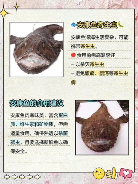 中国人为什么不吃安康鱼_安康鱼有毒吗-第3张图片-山城妙识