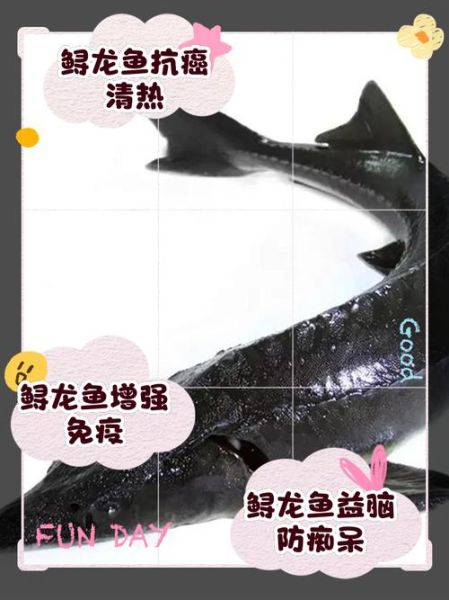 鲟龙鱼的功效与作用_鲟龙鱼适合什么人吃-第1张图片-山城妙识