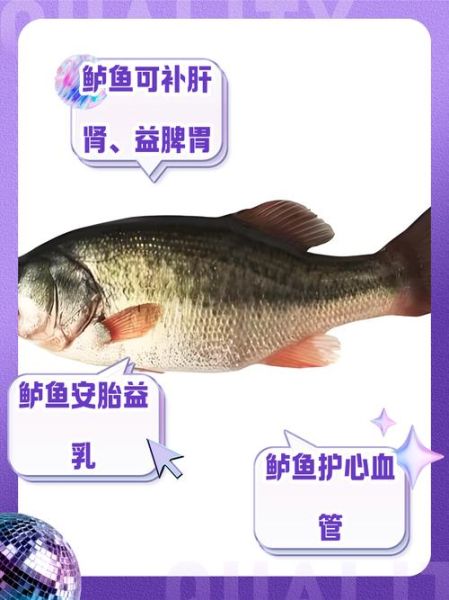 鲈鱼的营养价值_鲈鱼的功效与作用-第1张图片-山城妙识