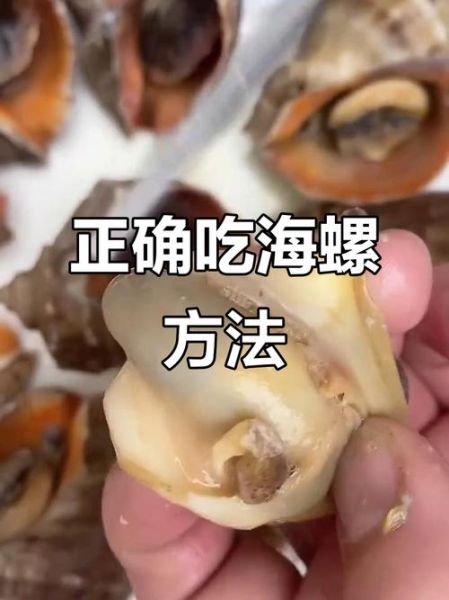 海螺当天不吃怎么储存_海螺保存方法-第2张图片-山城妙识 海螺当天不吃怎么储存_海螺保存方法-第2张图片-山城妙识