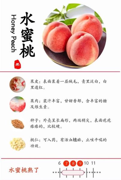 水蜜桃不能和什么一起吃_吃了会怎样-第2张图片-山城妙识