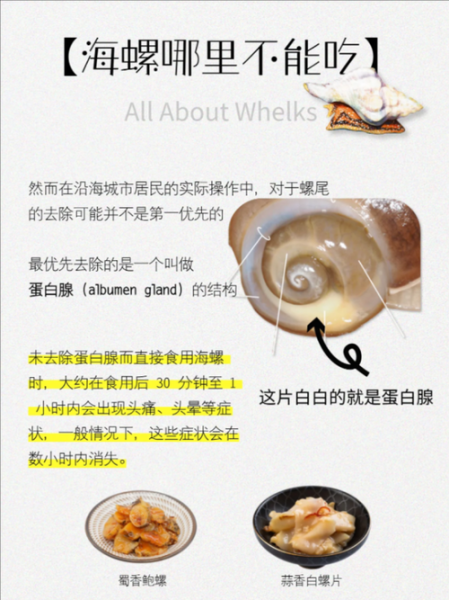 海螺当天不吃怎么储存_海螺保存方法-第3张图片-山城妙识 海螺当天不吃怎么储存_海螺保存方法-第3张图片-山城妙识