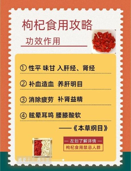 枸杞有什么功效_枸杞怎么吃效果最好-第1张图片-山城妙识