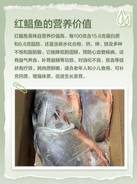 红鲳鱼用什么饵料最好钓_红鲳鱼饵料配方大全-第3张图片-山城妙识