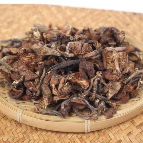 东北蘑菇种类大全_哪些野生菌可食用-第3张图片-山城妙识