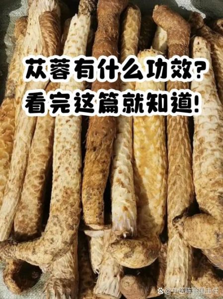 草苁蓉的功效与作用_草苁蓉怎么吃效果最好-第1张图片-山城妙识