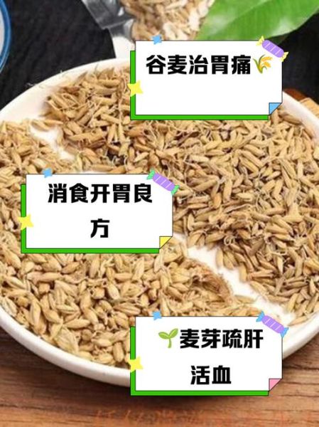 谷芽是什么_谷芽的功效与作用-第3张图片-山城妙识