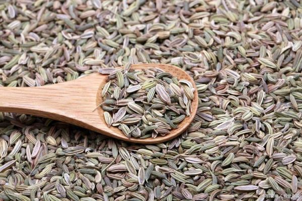 大料指的是什么东西_大料和小茴香一样吗-第1张图片-山城妙识