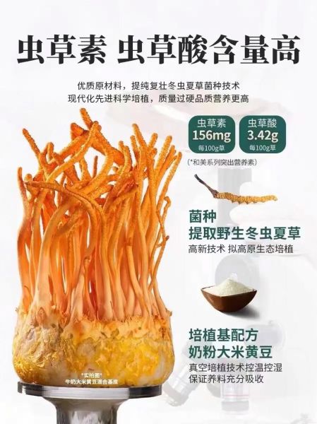 蛹虫草的功效与作用及食用方法_蛹虫草怎么吃效果最好-第3张图片-山城妙识 蛹虫草的功效与作用及食用方法_蛹虫草怎么吃效果最好-第3张图片-山城妙识