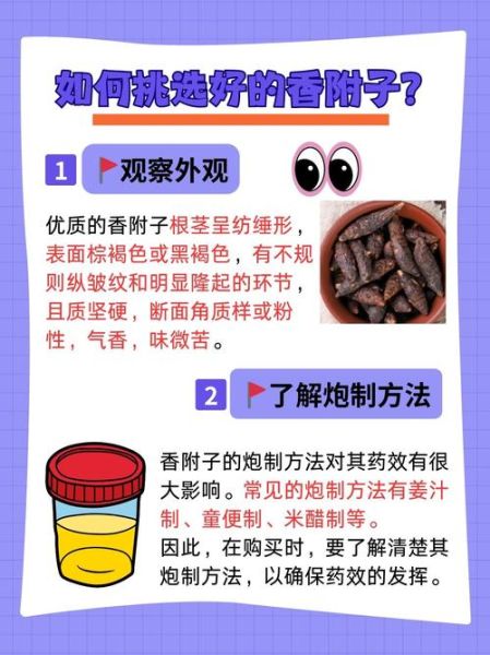 香附能治什么病_香附的副作用有哪些-第1张图片-山城妙识 香附能治什么病_香附的副作用有哪些-第1张图片-山城妙识