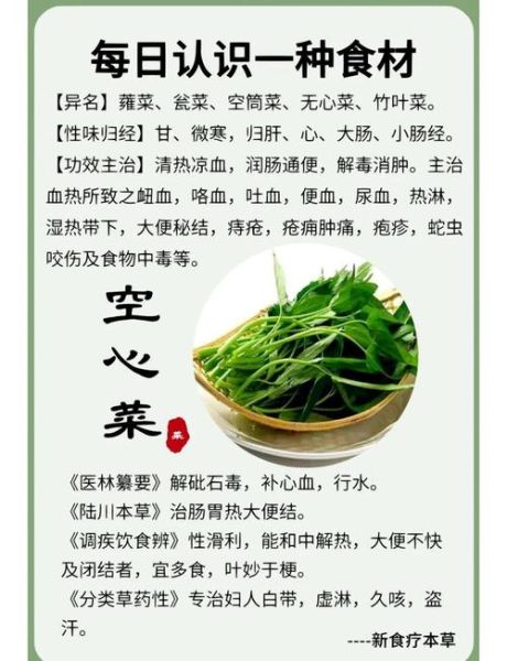 空心菜能排结石吗_怎么吃效果最好-第1张图片-山城妙识