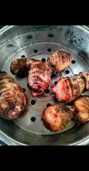 蒸芋头要多久才熟_芋头蒸多久能熟透-第3张图片-山城妙识