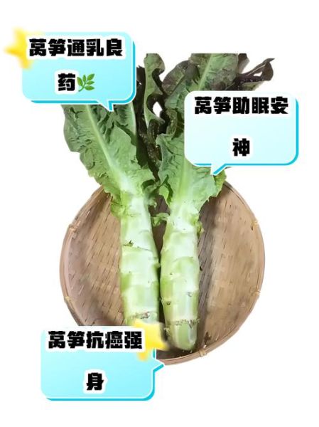女人吃莴苣有什么好处_莴苣对女性健康的作用-第2张图片-山城妙识 女人吃莴苣有什么好处_莴苣对女性健康的作用-第2张图片-山城妙识