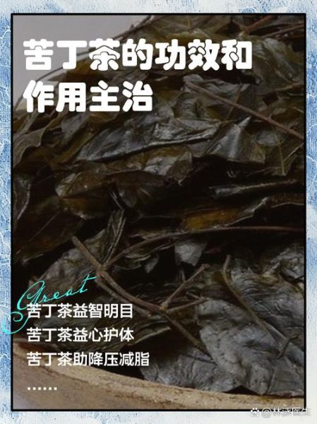 苦丁茶副作用_哪些人不能喝-第3张图片-山城妙识