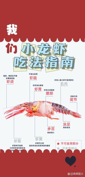 小龙虾怎么吃_小龙虾哪些部位不能吃-第1张图片-山城妙识