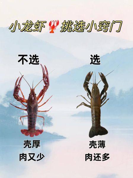 小龙虾怎么吃_小龙虾哪些部位不能吃-第3张图片-山城妙识