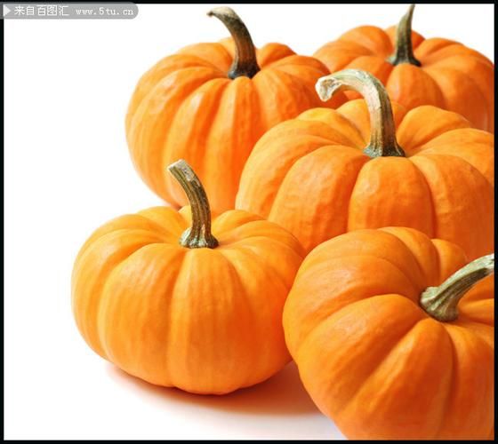 南瓜图片大全大图_如何挑选高清素材-第3张图片-山城妙识