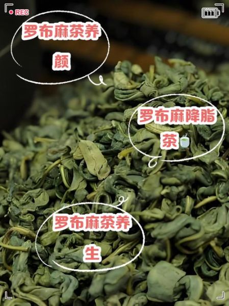 罗布麻茶什么人不能喝_罗布麻茶禁忌人群-第1张图片-山城妙识 罗布麻茶什么人不能喝_罗布麻茶禁忌人群-第1张图片-山城妙识