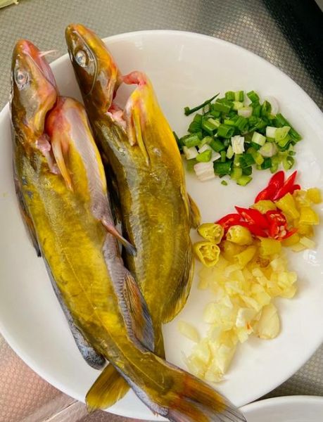 黄辣丁鱼怎么做给宝宝吃_黄辣丁鱼辅食做法-第1张图片-山城妙识