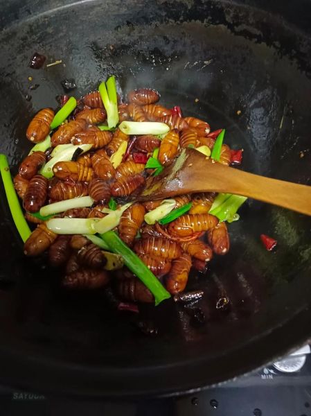 盐水煮蚕蛹怎么做_盐水煮蚕蛹要煮多久-第2张图片-山城妙识